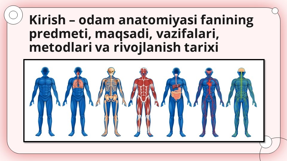 ODAM ANATOMIYASI FANI
